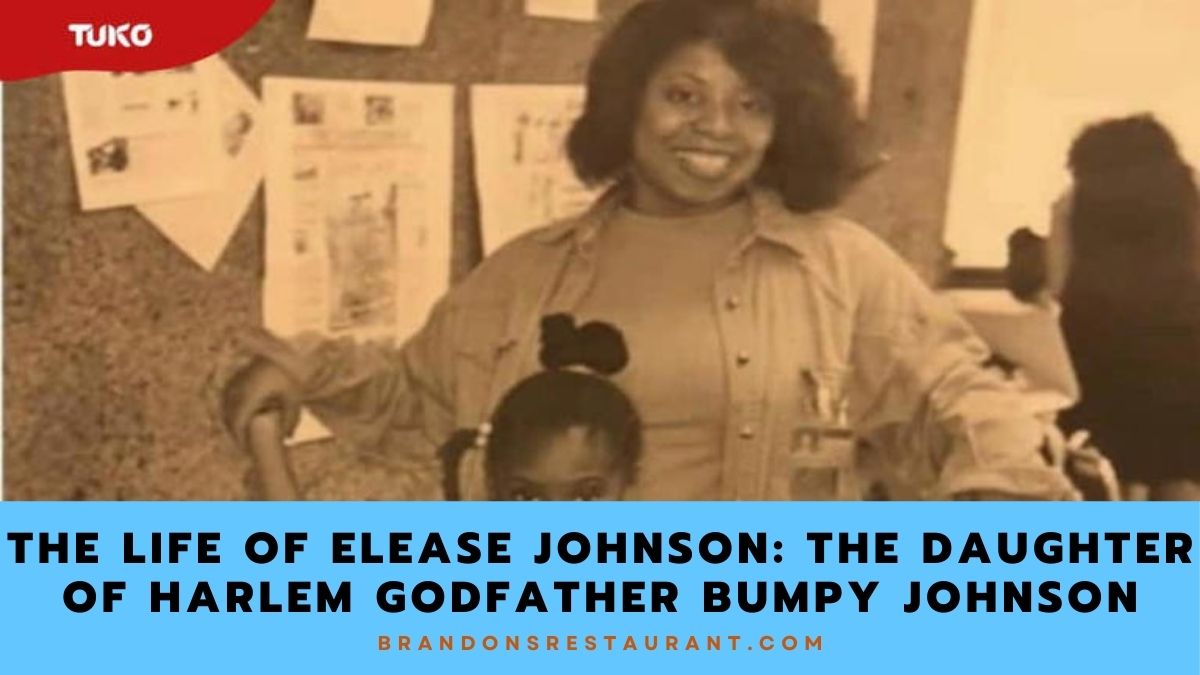The Life of Elease Johnson: The Daughter of Harlem Godfather Bumpy ...
