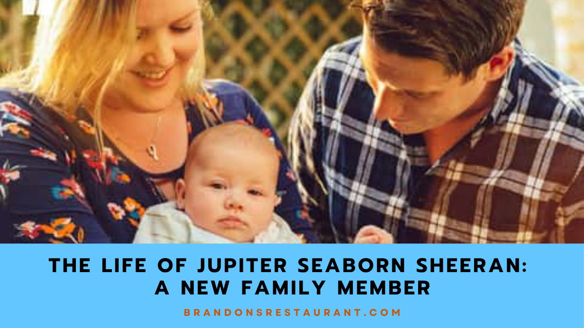 The Life of Jupiter Seaborn Sheeran: A New Family Member - Brandon's ...